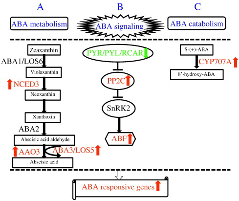 2012----Chinese Academy of Sciences