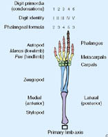2013----Chinese Academy of Sciences