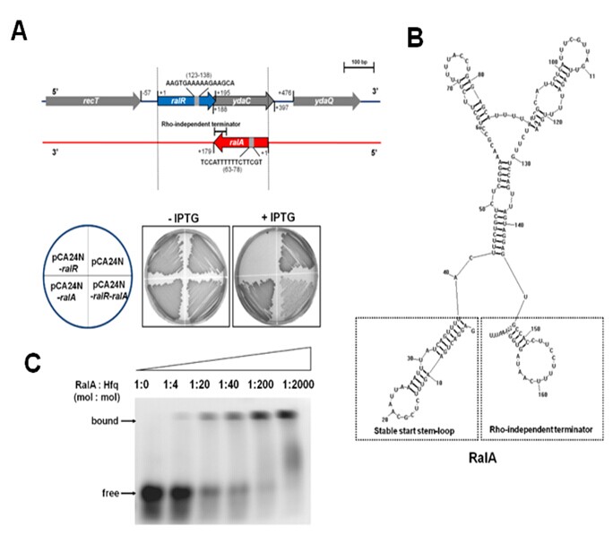 2014----Chinese Academy of Sciences