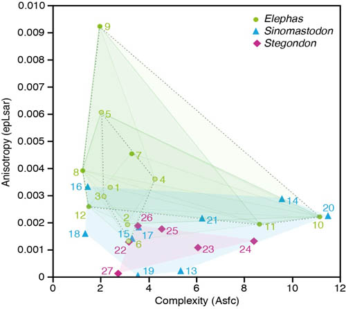New Finding Helps Understand Feeding Ecology of Pleistocene ...