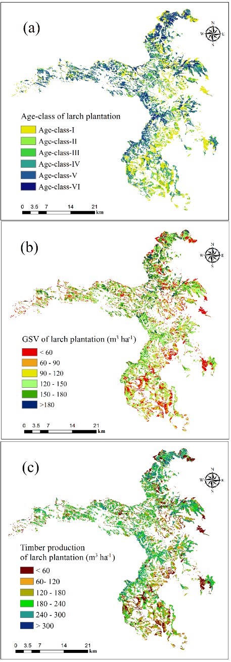 Management Process-based Timber Production to Assess Wood Production of ...