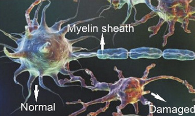 2017----Chinese Academy of Sciences