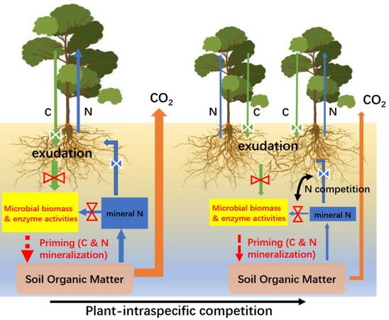 2018----Chinese Academy of Sciences