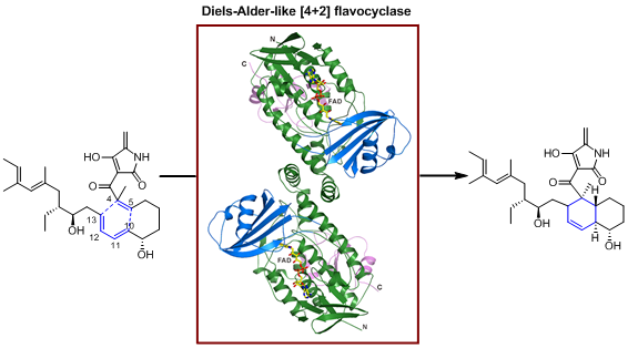 2018----Chinese Academy of Sciences