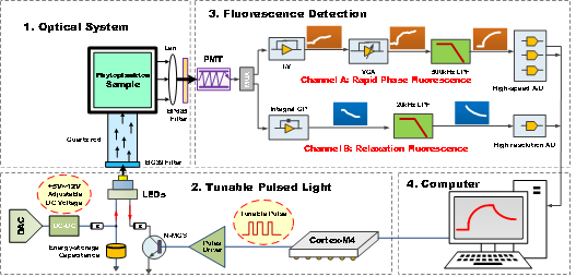 Chinese Scientists Develop A New Fluorescence Method to Assist ...