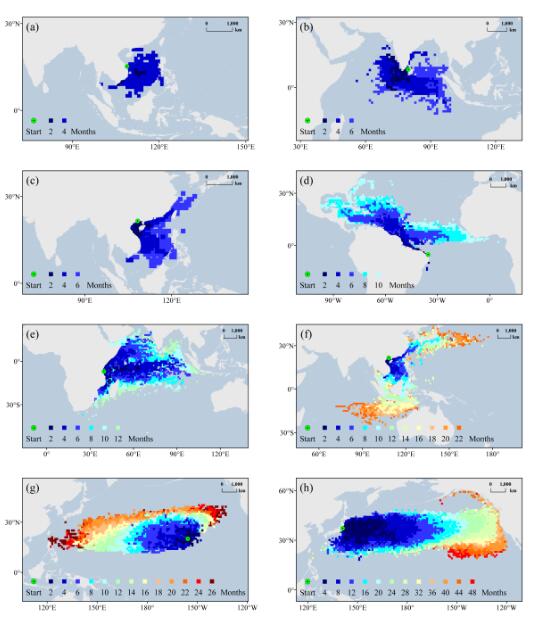 Scientists Reveal the Mechanism of Oceanic Long-Distance Dispersal for ...