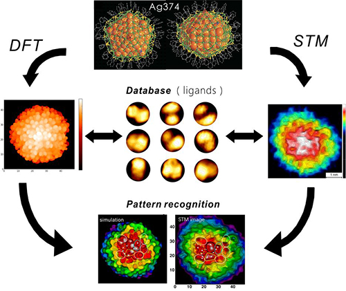 2018----Chinese Academy of Sciences