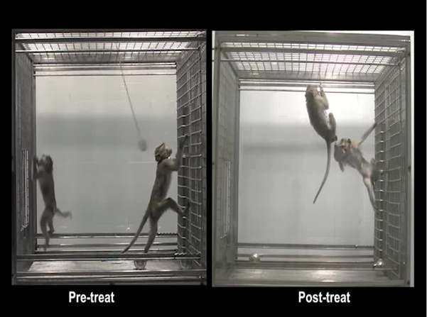 2018----Chinese Academy of Sciences