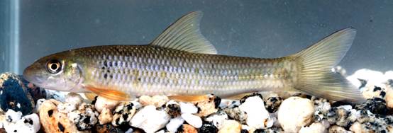 2018----Chinese Academy of Sciences