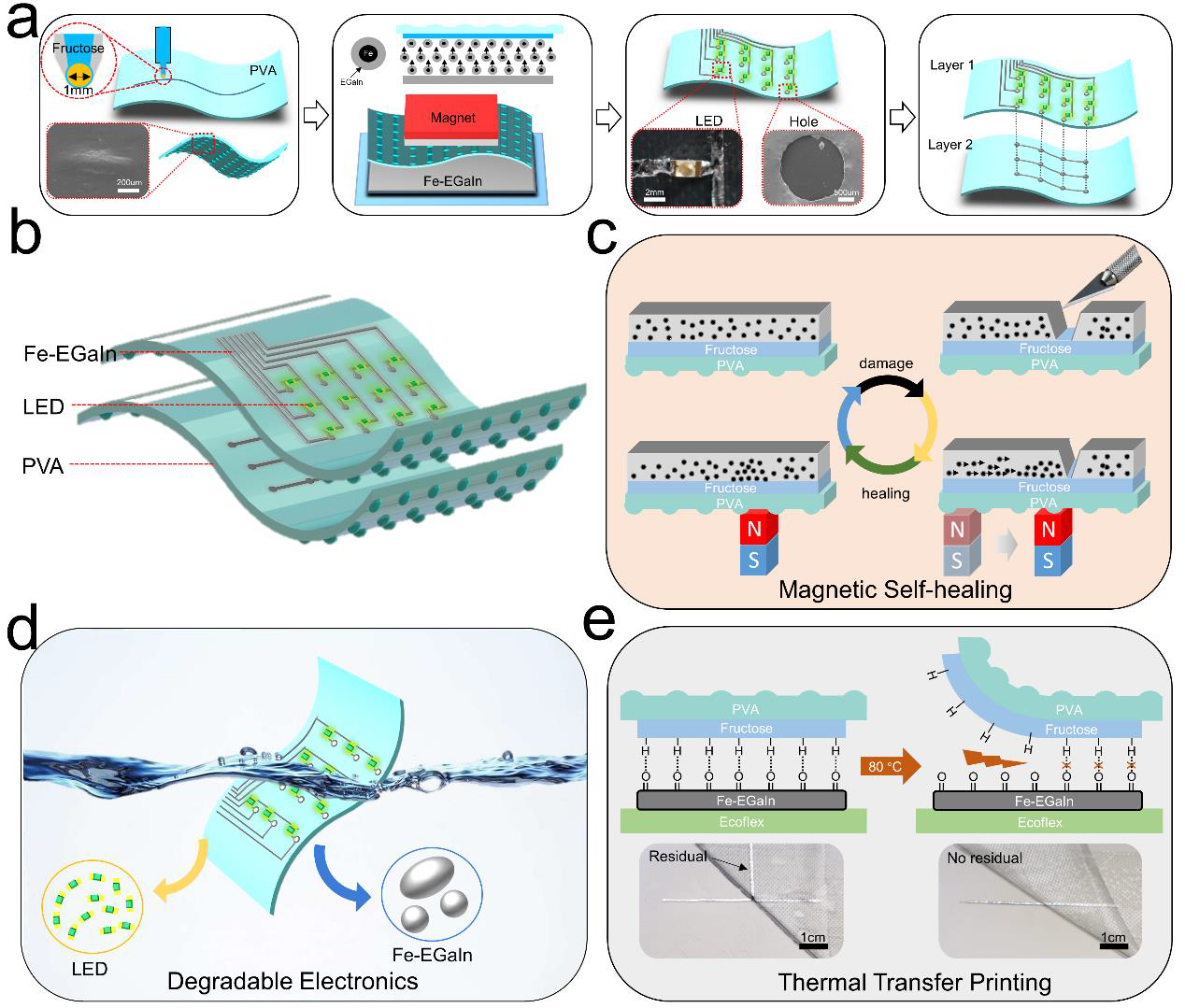 Scientists Develop Magnetic Liquid Metal Based Multifunctional Flexible ...