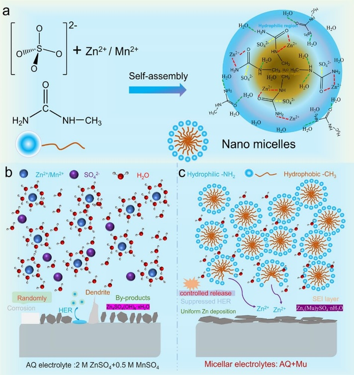 Researchers Blaze New Trails in Ultrastable High-energy-density Zn-Mn ...