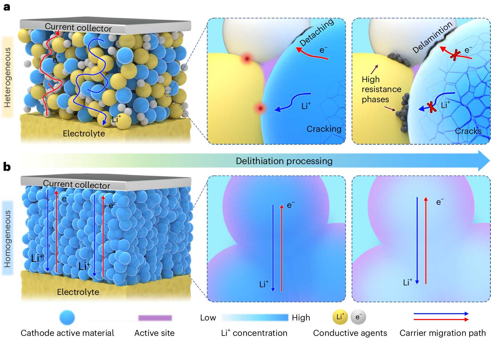 Chinese Scientists Solve Key Challenge in All-solid-state Lithium ...