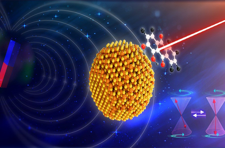 Chinese Academy of Sciences