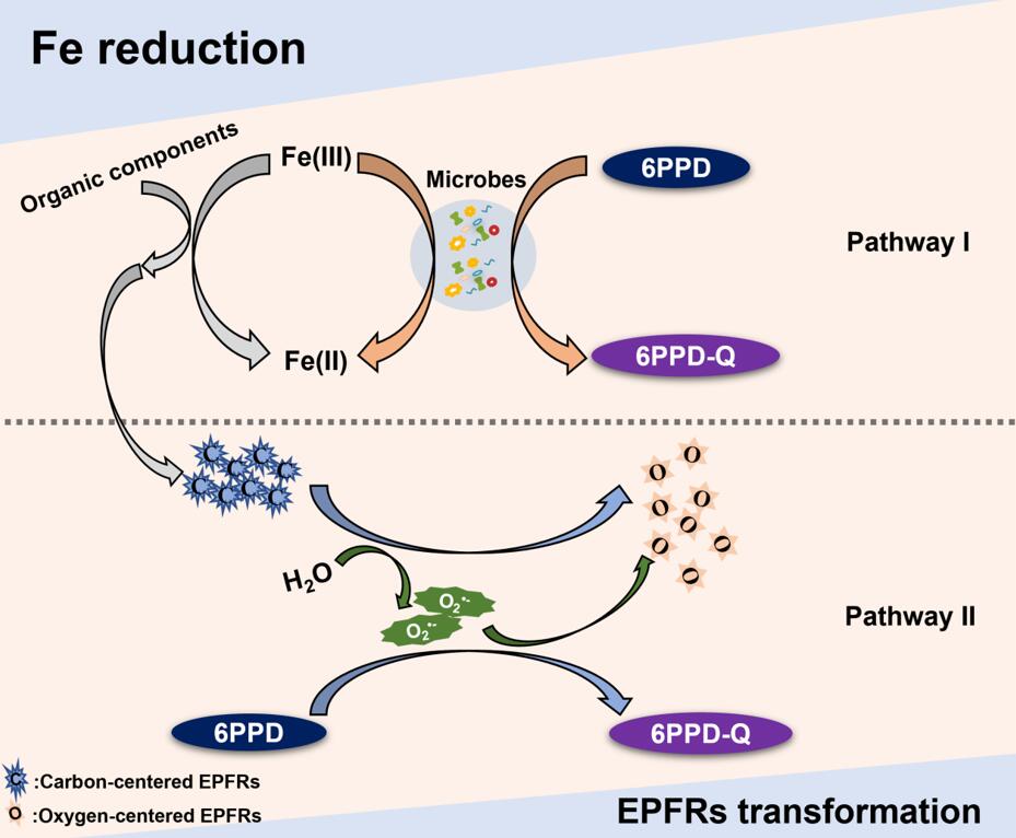 Iron Reduction and Environmentally Persistent Free Radicals ...