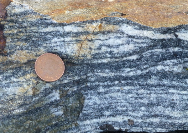 Earth's Oldest Rocks Offer Insights on Early Tectonics | Mirage News