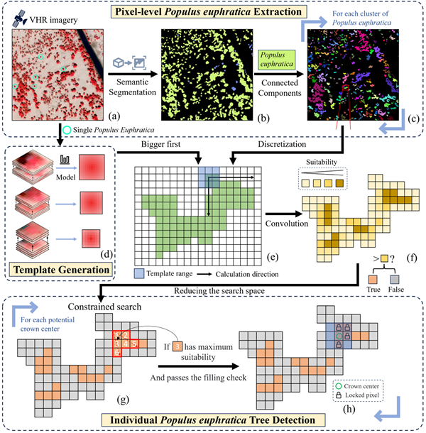 Researchers Propose Novel Method To Detect Individual Populus Euphratica Trees In Sparse Desert