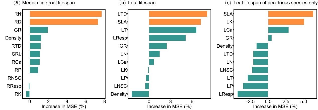 Study Reveals Seasonal Rhythms and Lifespan Determinants of Fine Roots ...