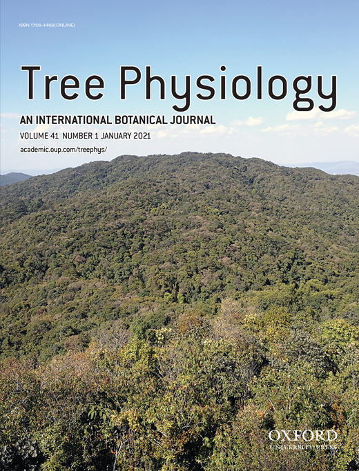 Physiological Traits: Predicting Diameter and Height Growth of ...
