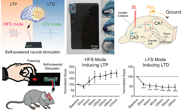 Self-powered Flexible Neural Stimulator Designed for Bidirectional ...