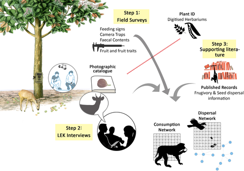 Local Ecological Knowledge Is Useful for Studying Plant-animal ...