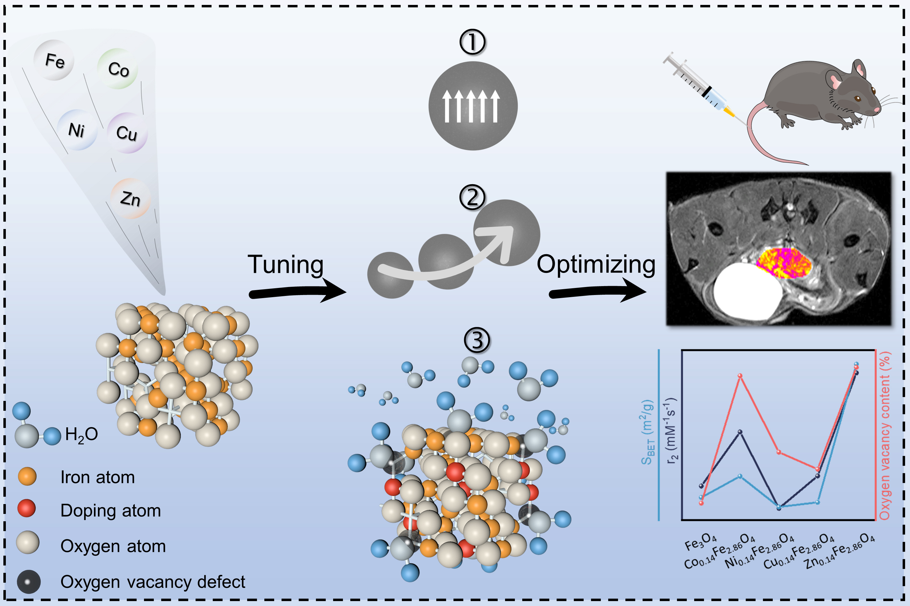 Transition Metal-doped Iron Oxide Nanocrystals Modulates MRI Contrast ...