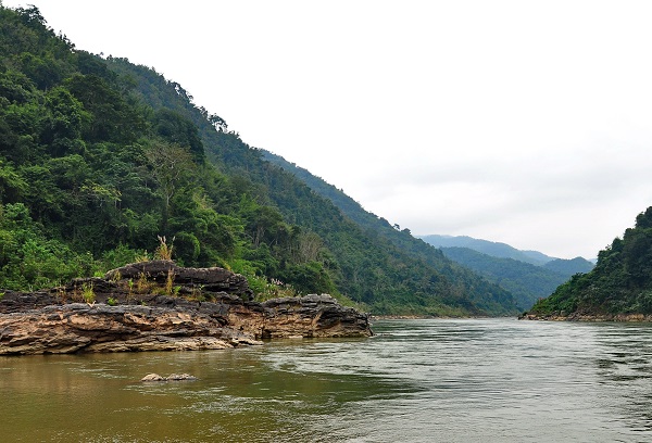 Riparian Areas Could Act as Climatic Refugia for Plant Diversity ...