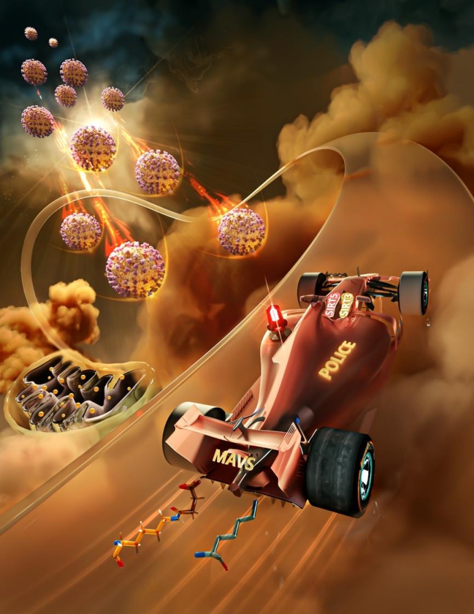 Researchers Reveal Novel "Accelerator and Brake" Mechanism for ...