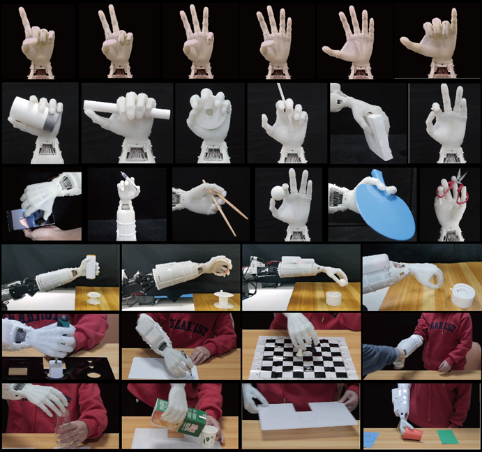 USTC Develops 19-DOF Biomimetic Dexterous Prosthetic Hand----Chinese ...