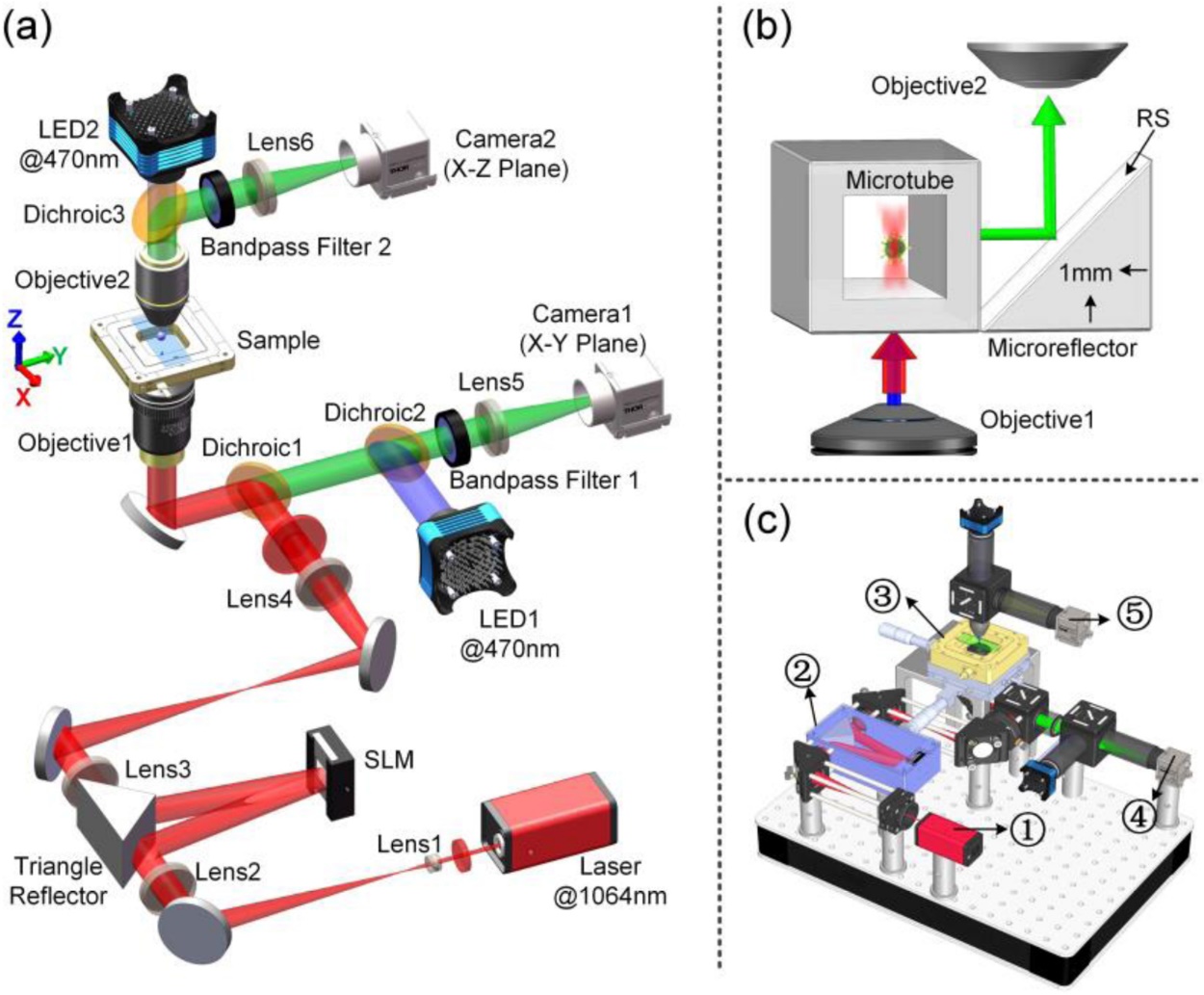 Scientists Solve Simultaneous Optical Trapping and Imaging In The Axial ...