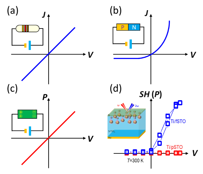 Chinese Researchers Invent Polarized Diode----Chinese Academy of Sciences