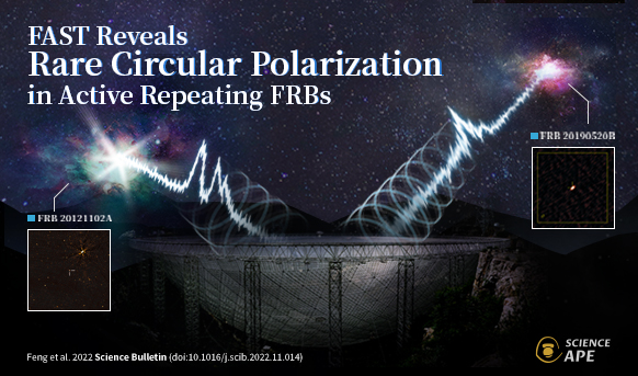 Physics----Chinese Academy of Sciences