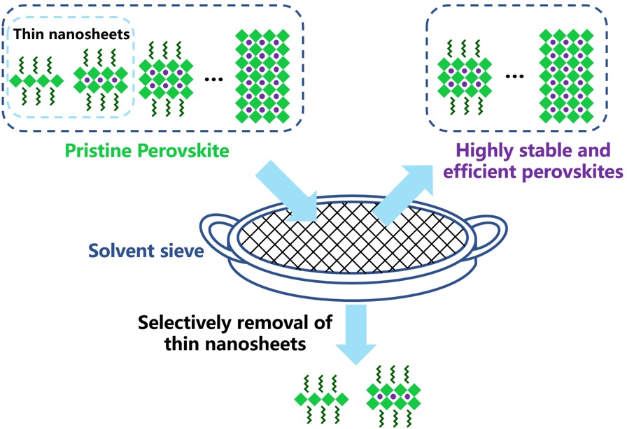 Perovskite LEDs Reach New Heights with Solvent Sieve Method | Mirage News