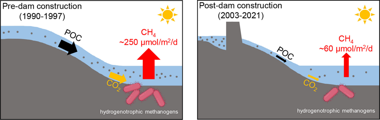 Dam Construction Mitigates Methane Emissions along River-estuary ...
