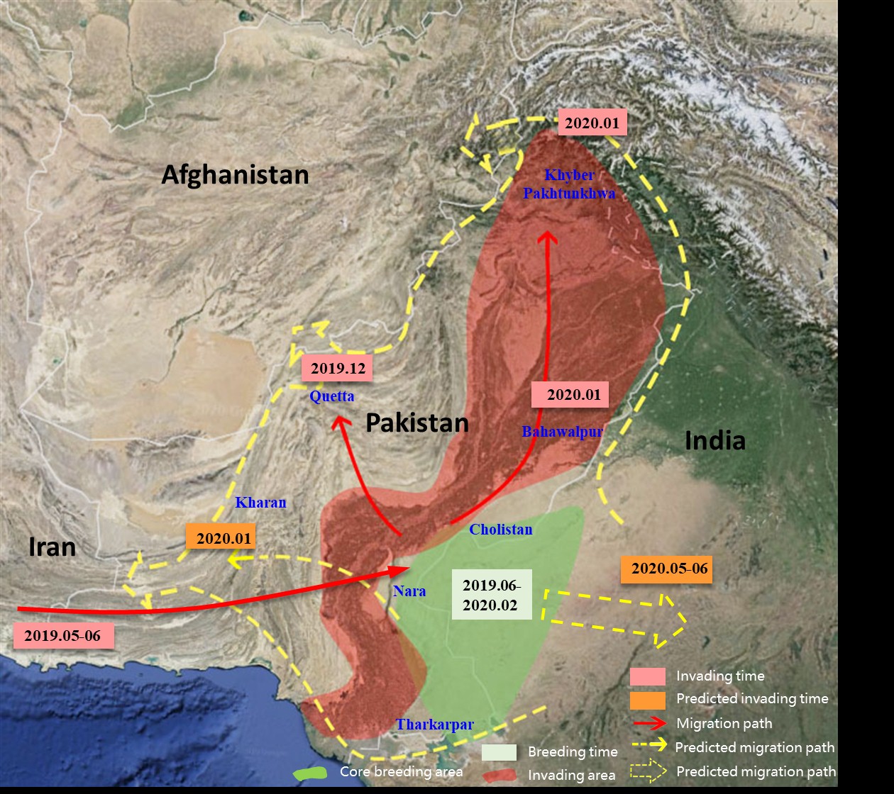 CAS Scientists Assess Risk of Desert Locust Invasion to China ...